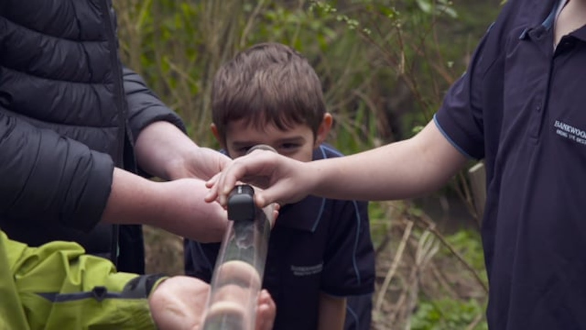 Water clarity — Science Learning Hub