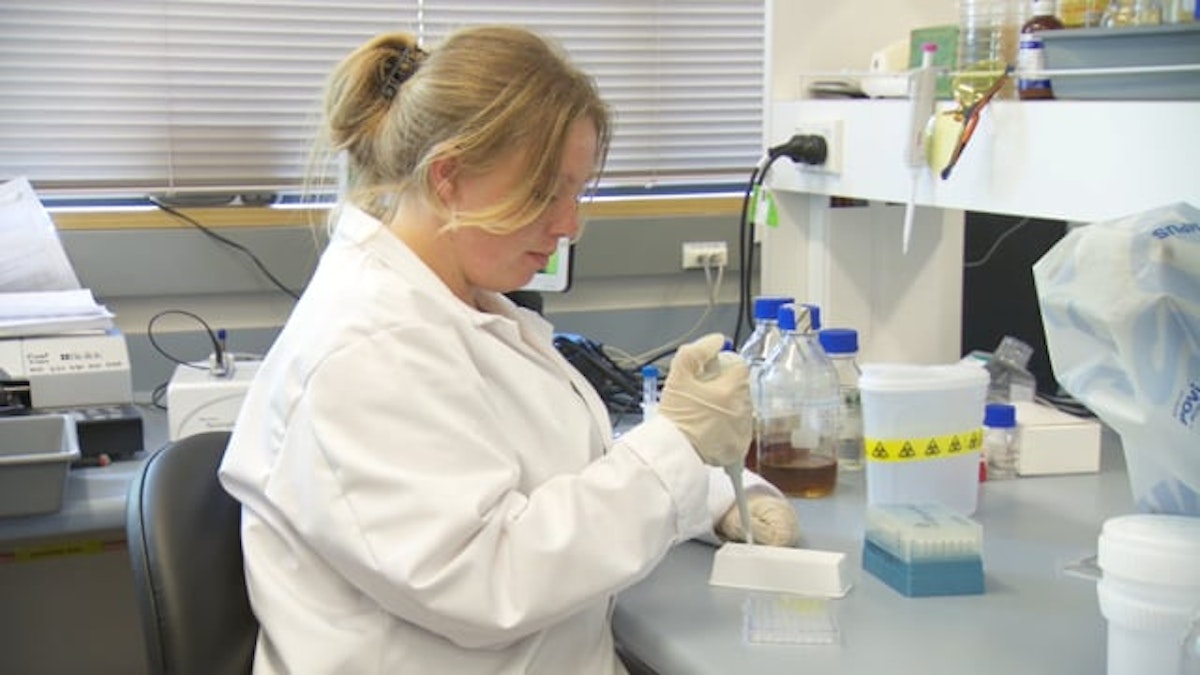 Fair testing — Science Learning Hub