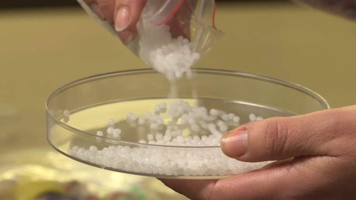 What are microplastics? — Science Learning Hub
