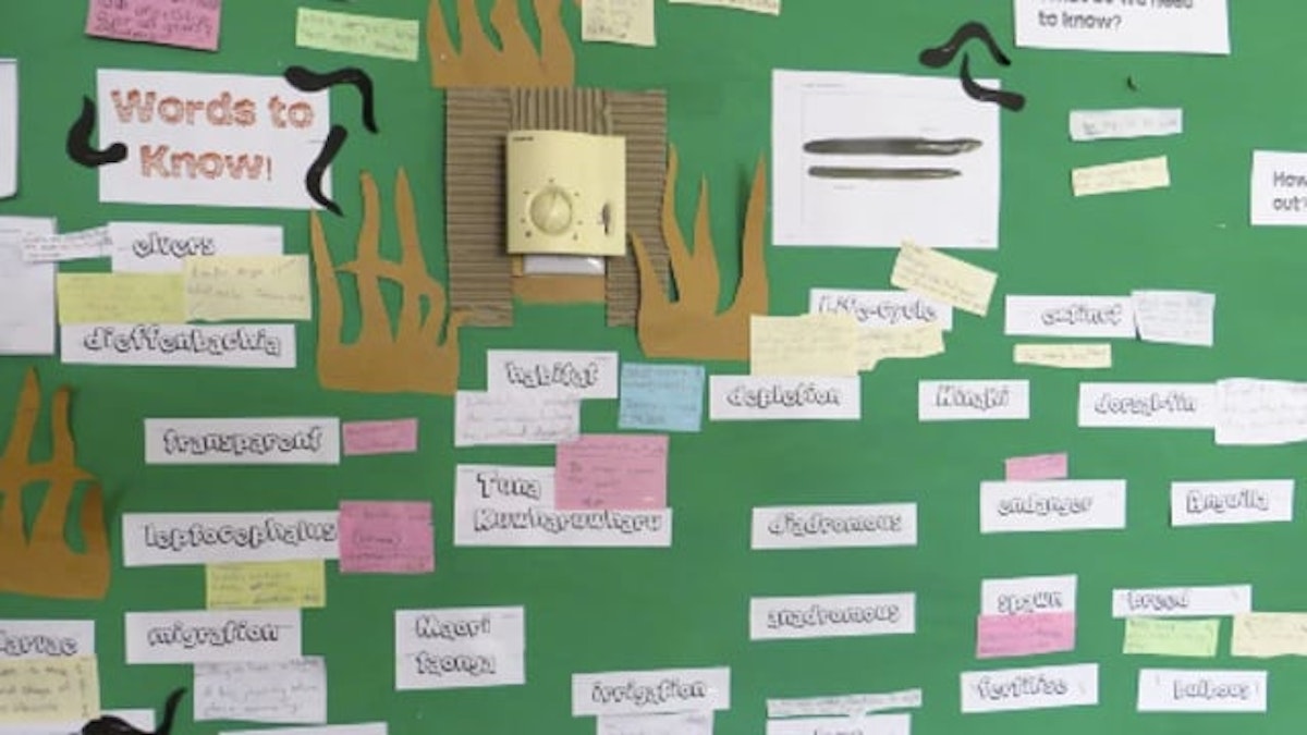 Role-play – building science knowledge