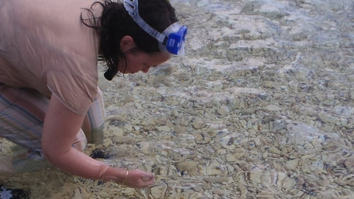 Correcting the curve — Science Learning Hub