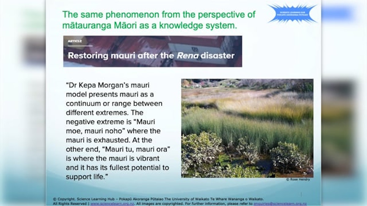 What is a knowledge system? — Science Learning Hub