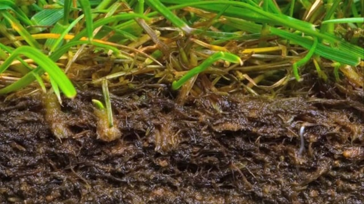 Infiltration — Science Learning Hub