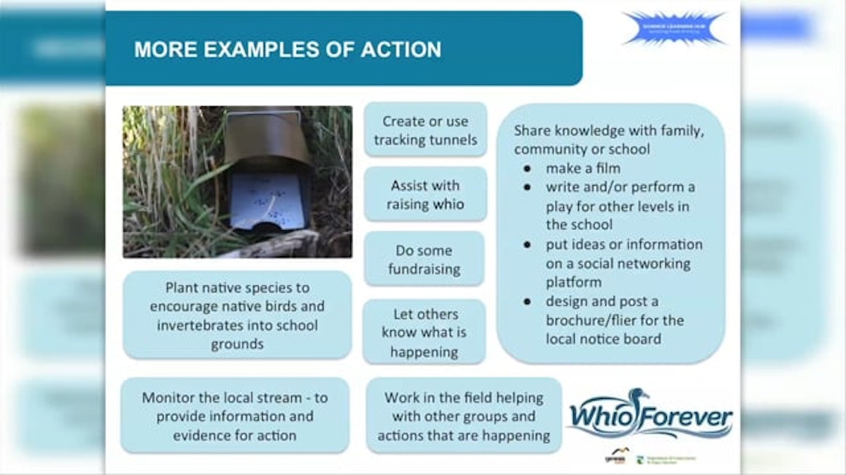Taking action for conservation — Science Learning Hub