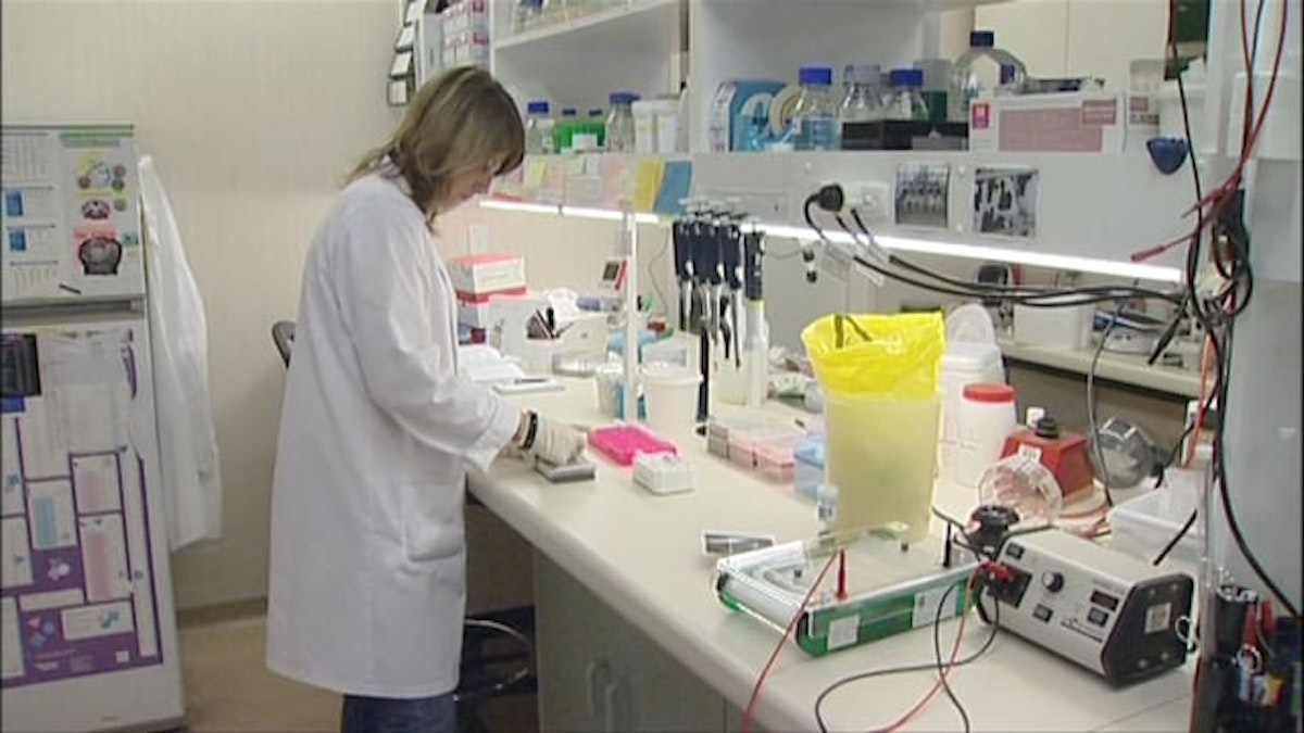 Designing the gene construct — Science Learning Hub