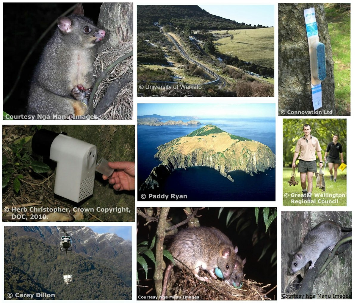 Methods of predator control – slideshow