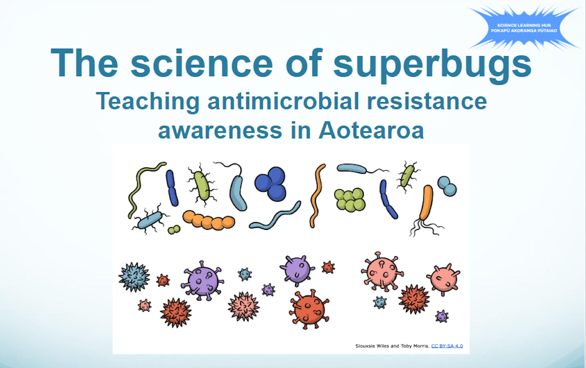 The science of superbugs – slideshow — Science Learning Hub
