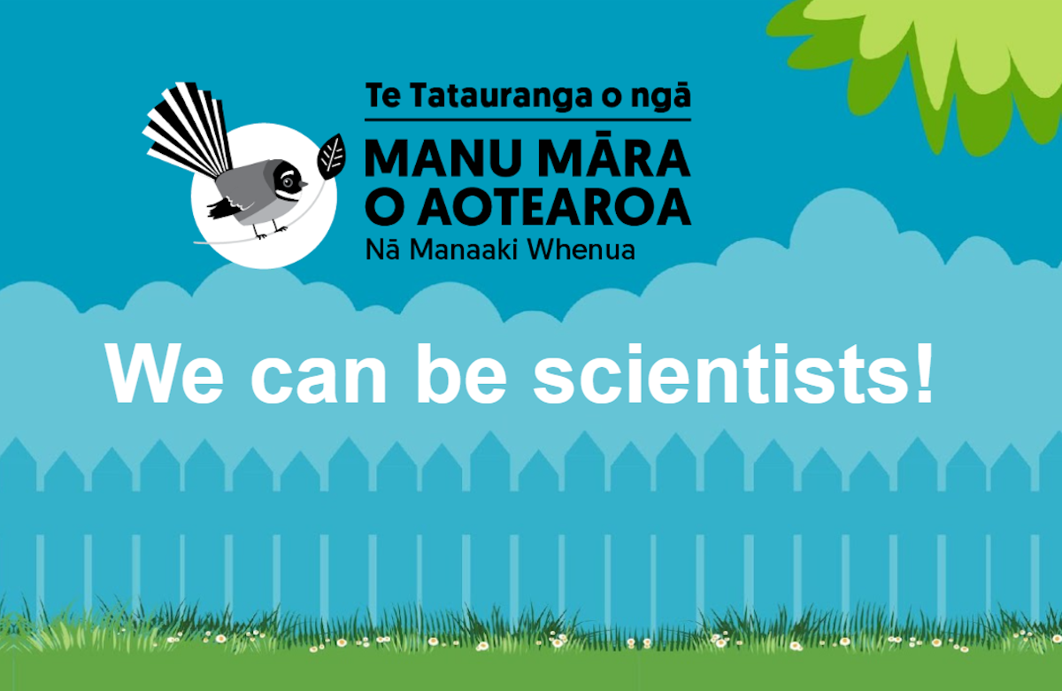 We can be scientists! – Slideshow — Science Learning Hub