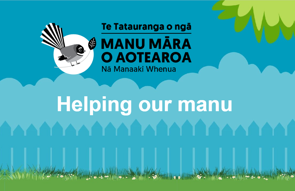 Helping our manu – Slideshow — Science Learning Hub