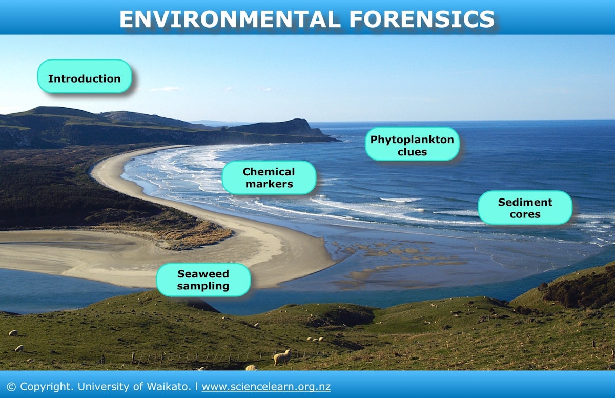Environmental forensics — Science Learning Hub
