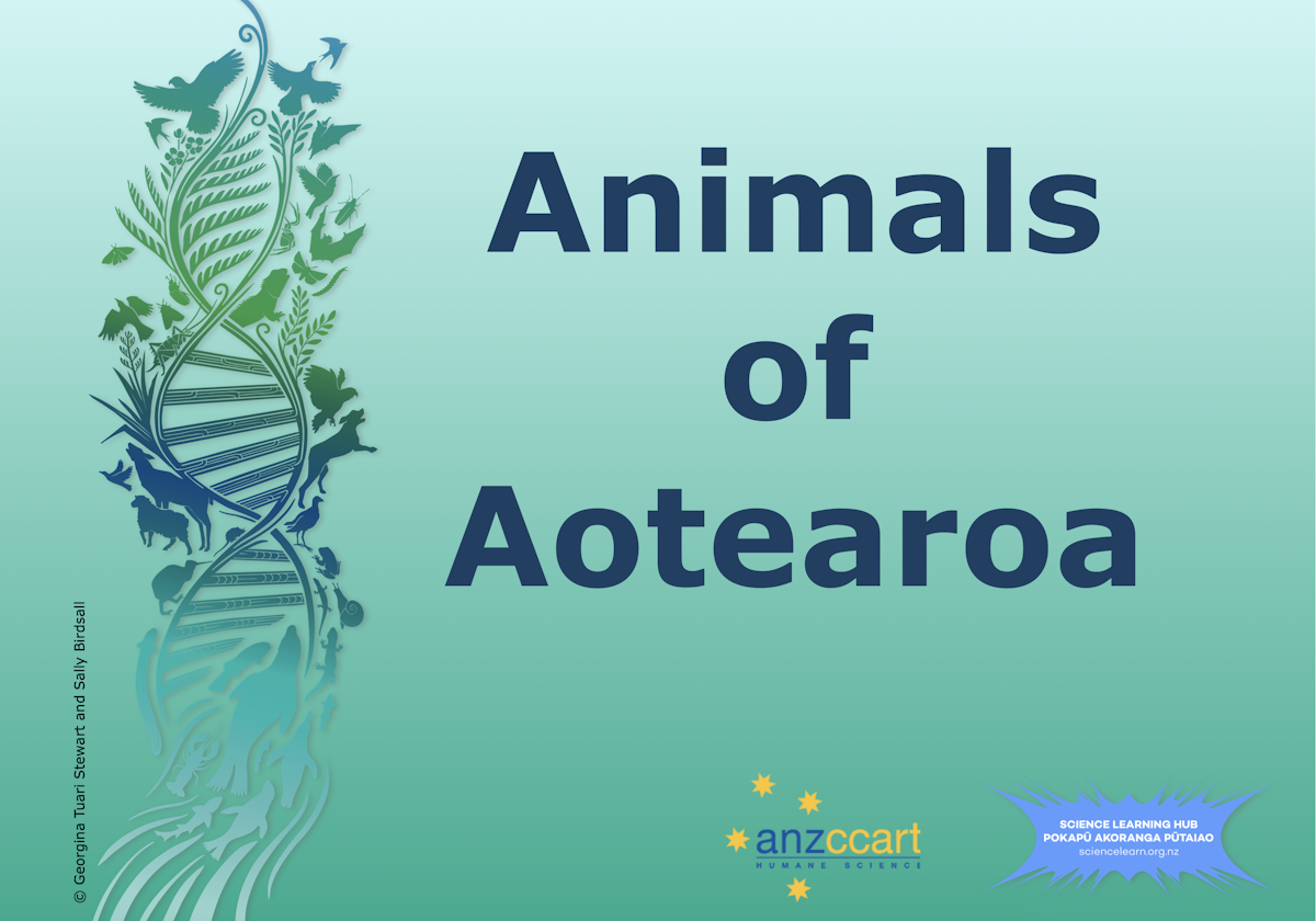 Animals of Aotearoa — Science Learning Hub