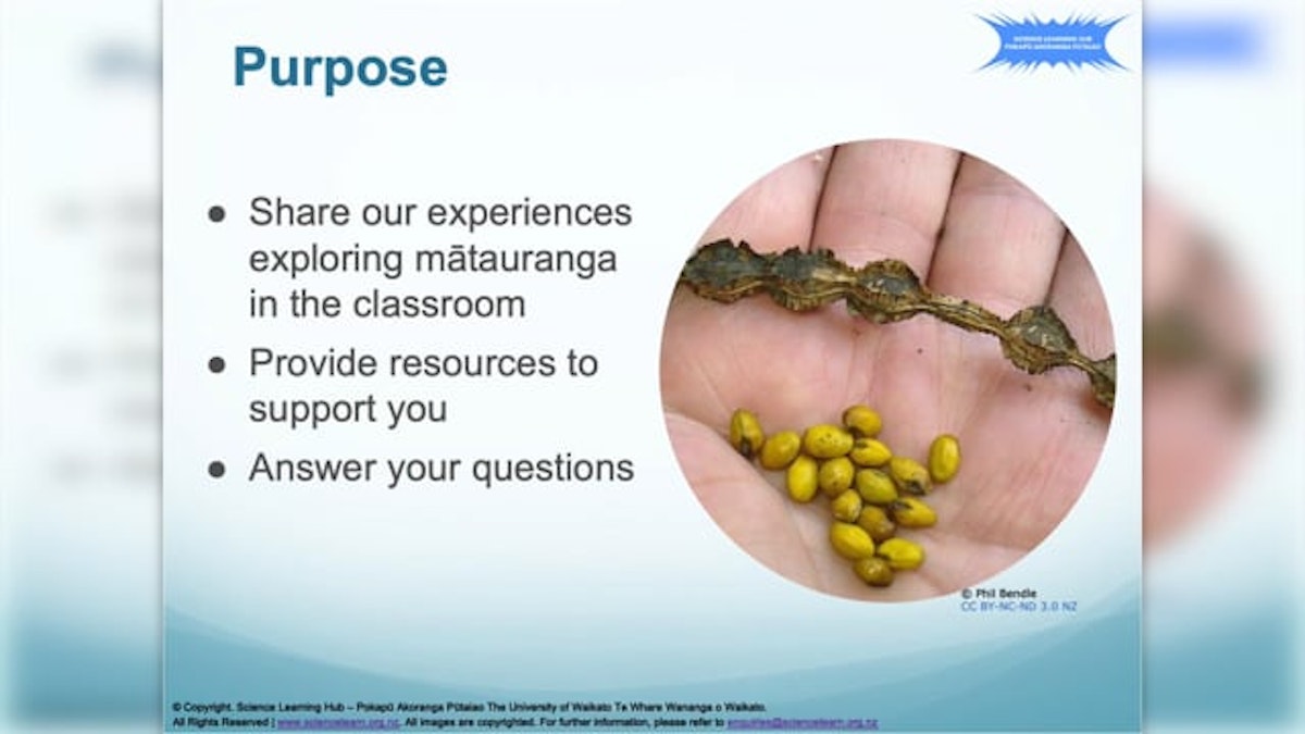 Exploring mātauranga in the classroom — Science Learning Hub
