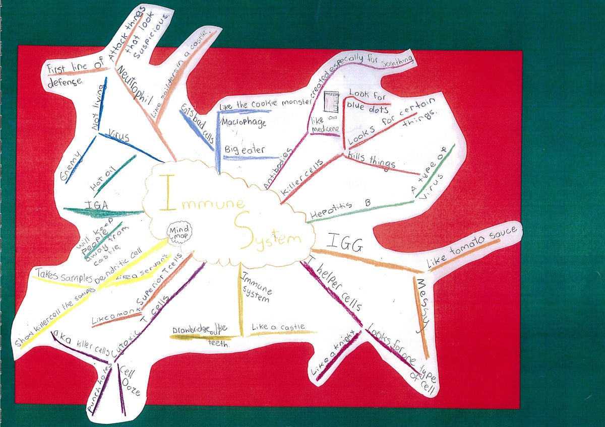 Student mind map — Science Learning Hub