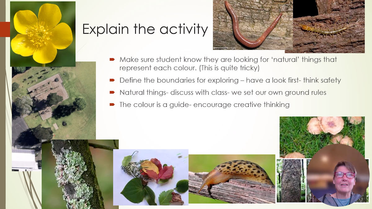 Exploring nature through colour — Science Learning Hub