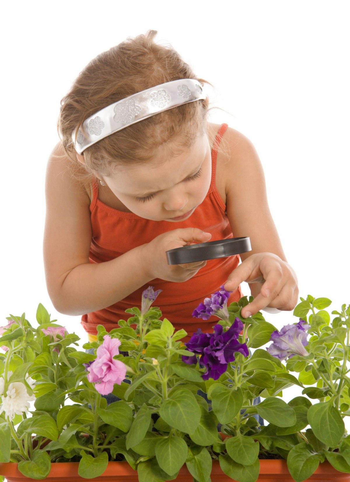 The extra piece — Science Learning Hub