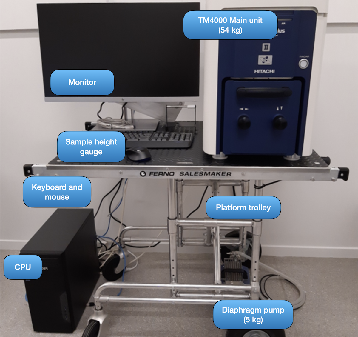 Hitachi TM4000 tabletop microscope — Science Learning Hub