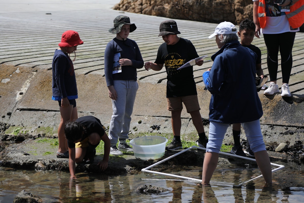 Participatory science methods — Science Learning Hub