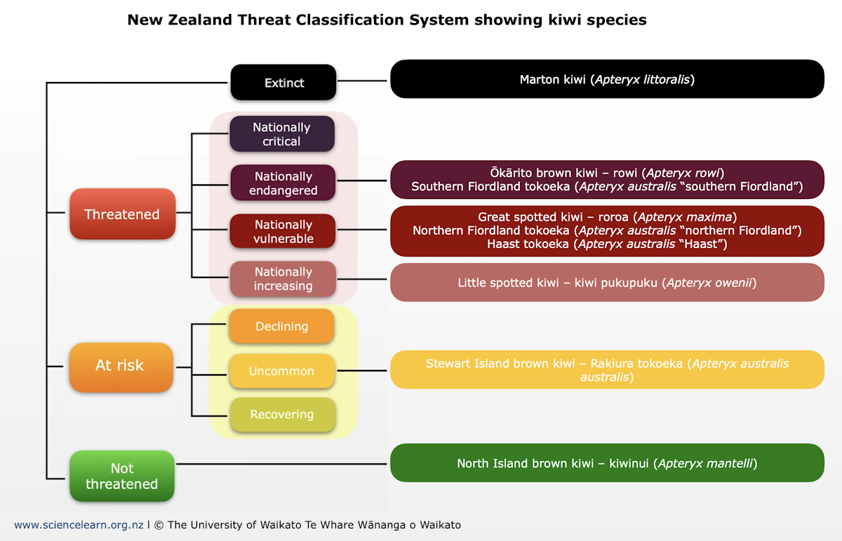 New Zealand Threat Classification System showing kiwi