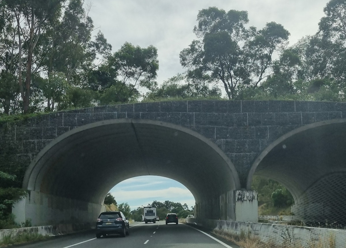 Gold Coast eco bridge — Science Learning Hub