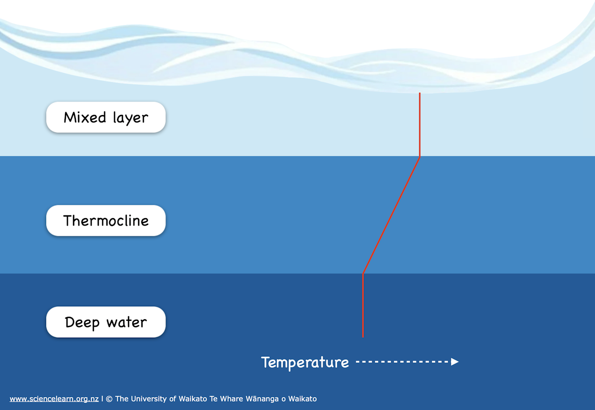 Ocean temperature layers — Science Learning Hub