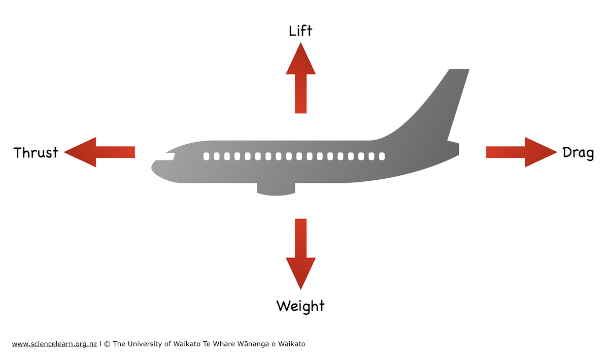 Forces affecting flight — Science Learning Hub