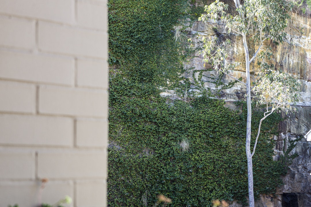 2 Lizzie Webber Place, Birchgrove NSW 2041 | BresicWhitney