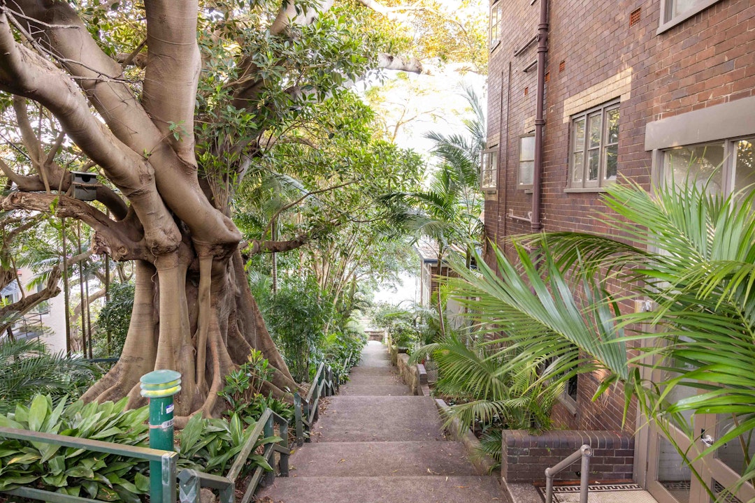 7 / 27 Lavender Street, Lavender Bay NSW 2060 | BresicWhitney