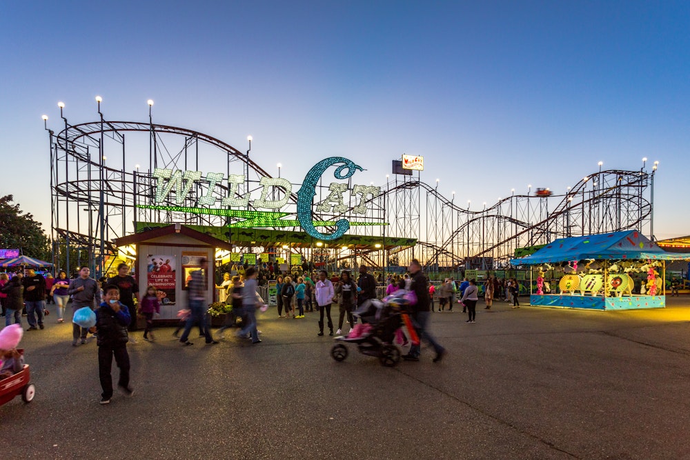 Wild Cat at WA State Fair | Washington State Fair Event Center ...