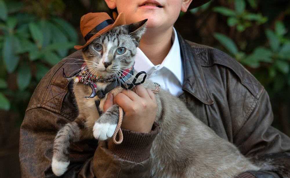 4-H Cats (Sept. 5 - 8) | Washington State Fair Event Center - Puyallup, WA