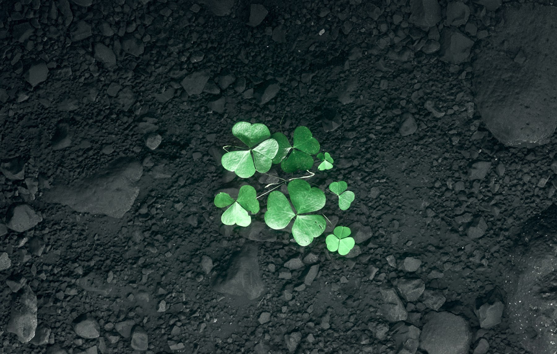 ESG Commitments - Lithion Technologies