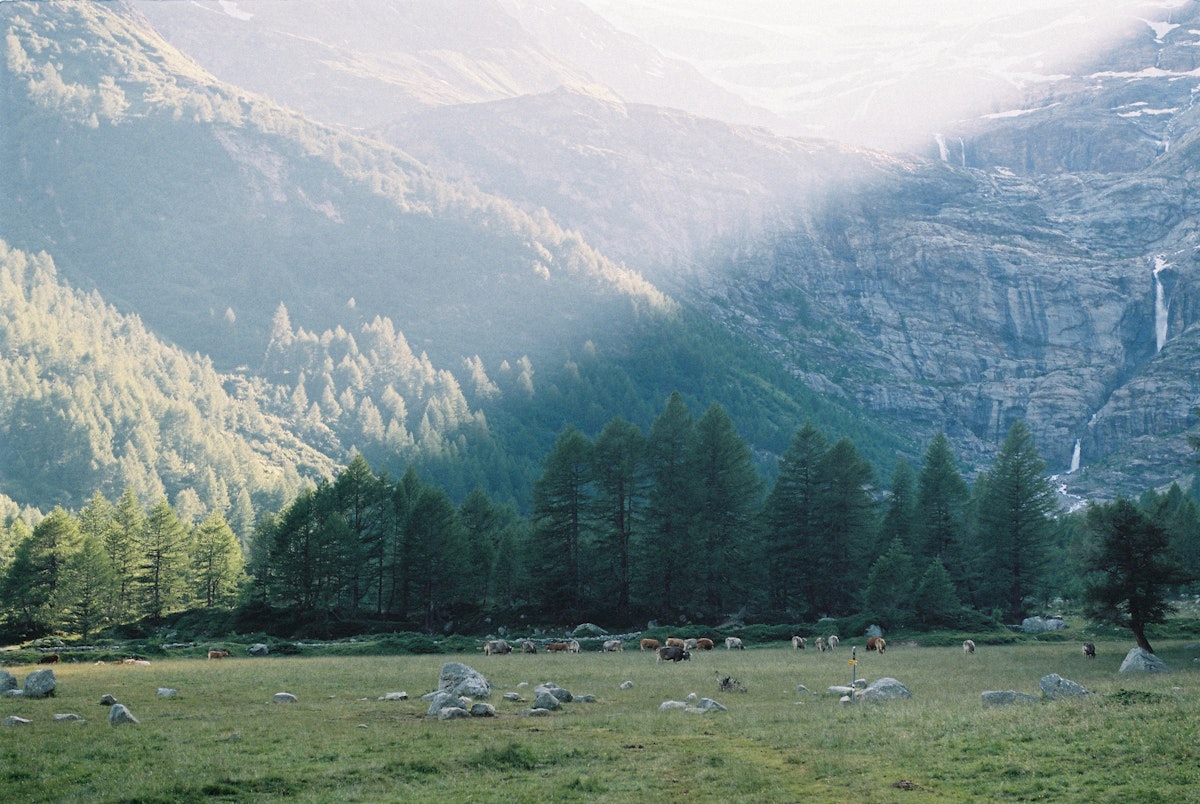 Valposchiavo – Offizieller Reiseführer
