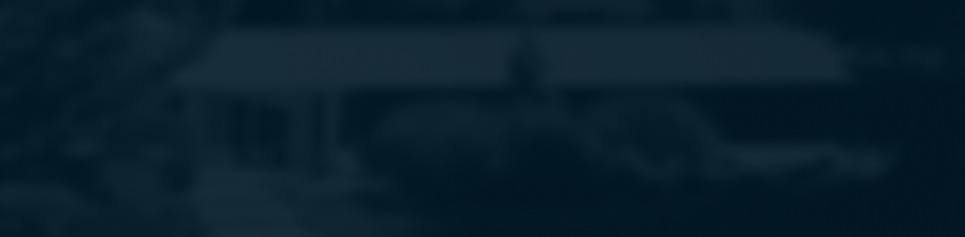 Before & After Photos | Dr. Wise