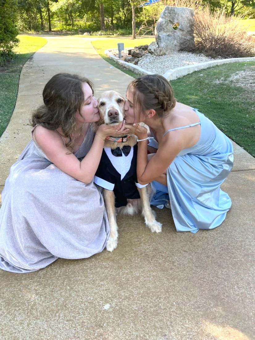 High school student exchange program to the USA - WEP