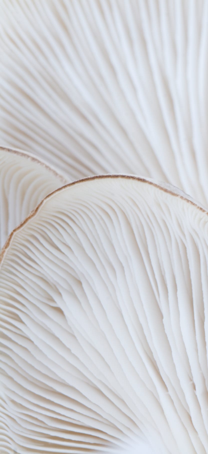 Top Plastic Surgeon in San Diego CA | Changes Plastic Surgery & Spa