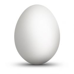 EGGactly What Makes us Look Old?