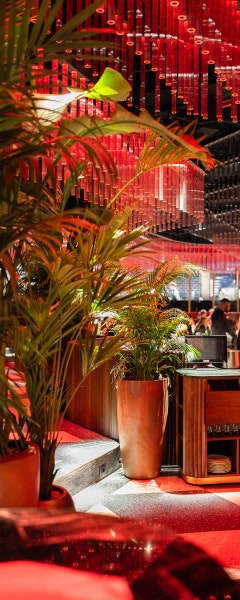 Mediterranean Restaurant in Milano | Fresh Flavors & Vibrant Atmosphere ...