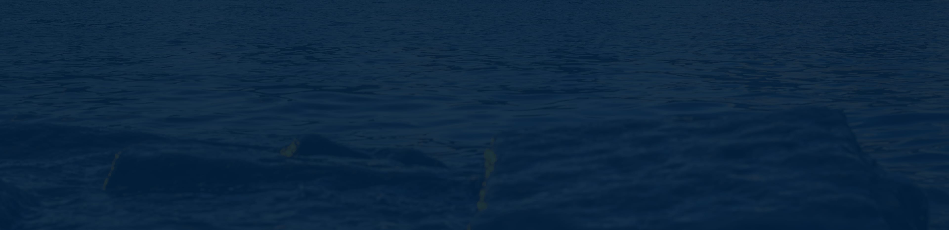 Odyssey in NYC | Eye Center of New York