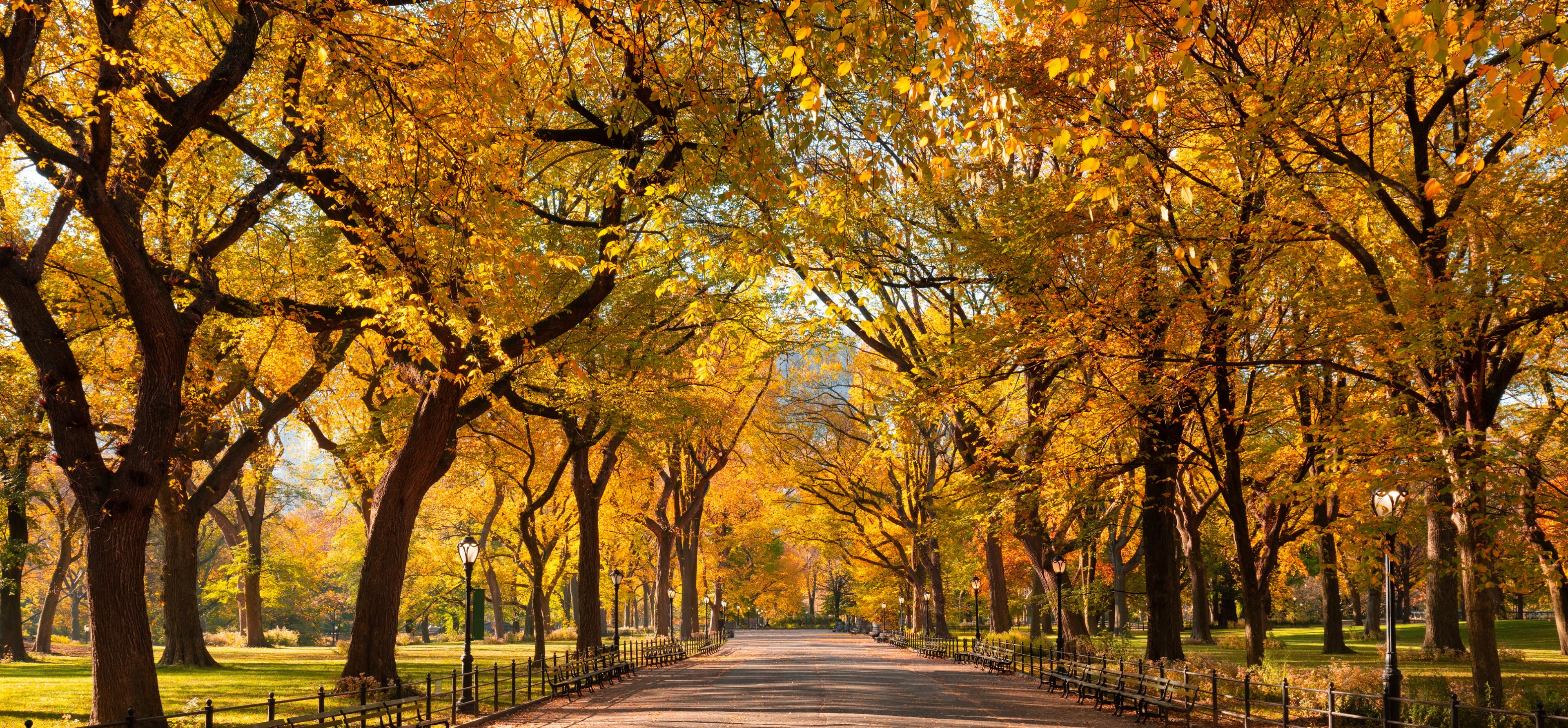 Multifocal IOL in NYC | Eye Center of New York