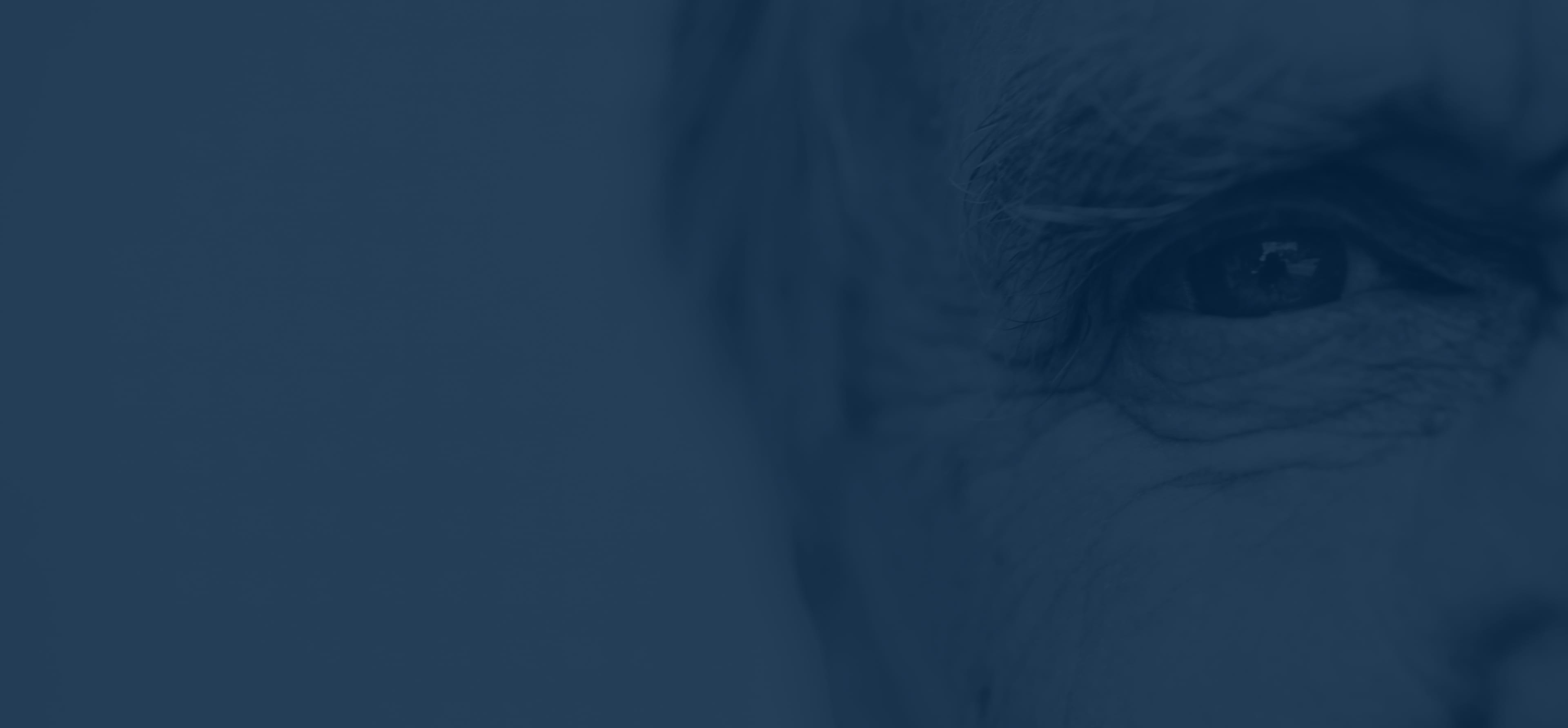 EnVista Envy Multifocal IOL | Eye Center of New York