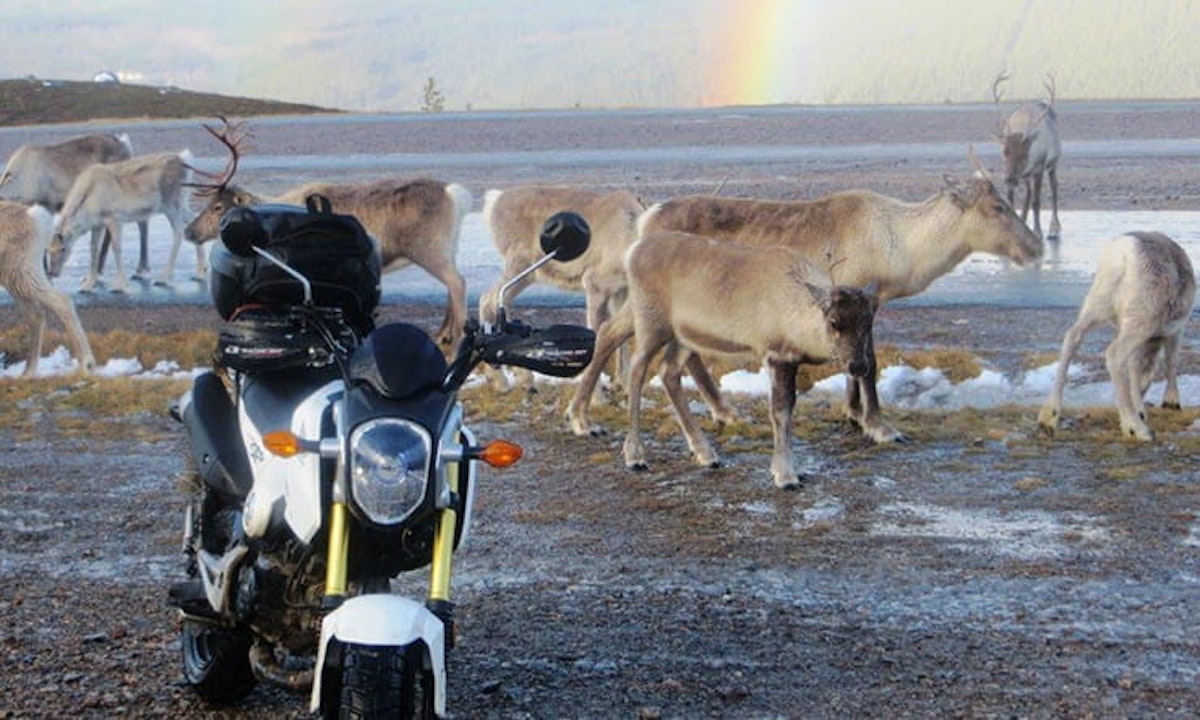 Honda MSX125 'Grom' (2017) -Review | Richard Niven, Grom adventurer