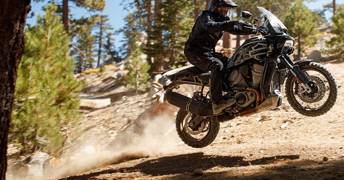 New Harley-Davidson streetfighter and adventure bike for 2020