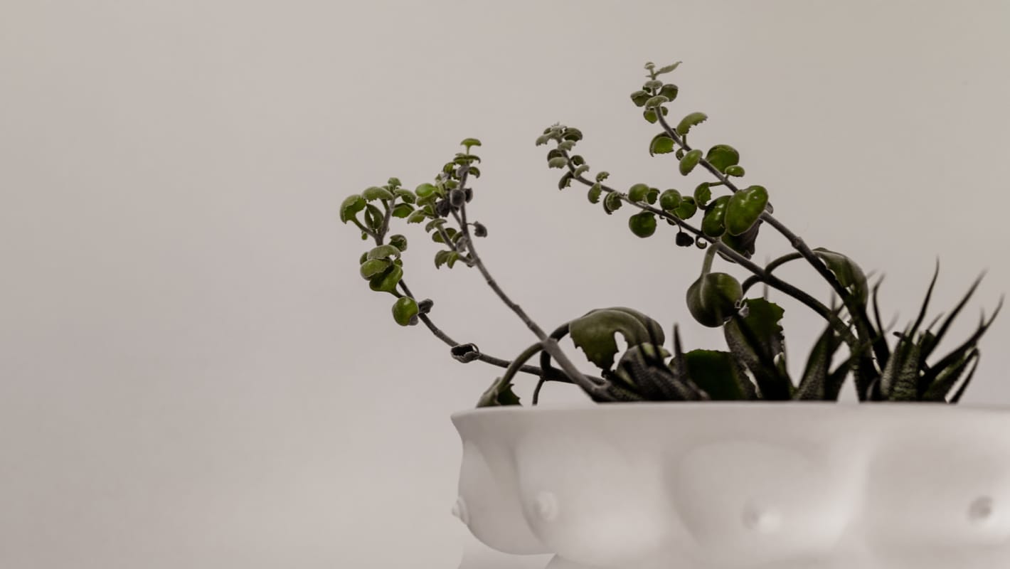 Elite Plastic Surgery | Cosmetic and Reconstructive Surgeons in Phoenix, AZ