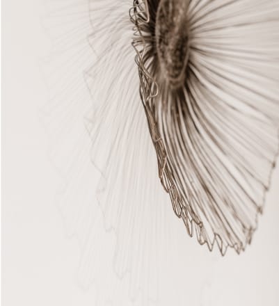 Liposuction in Phoenix, AZ | Elite Plastic Surgery