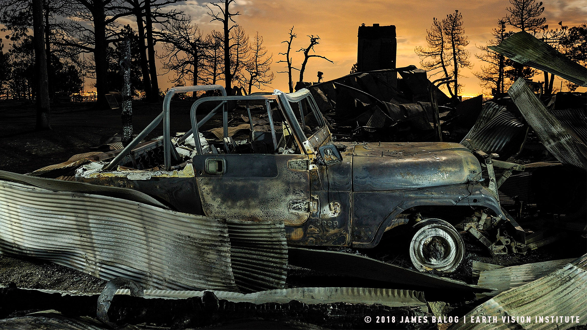 The Human Element - Cinemambiente Media