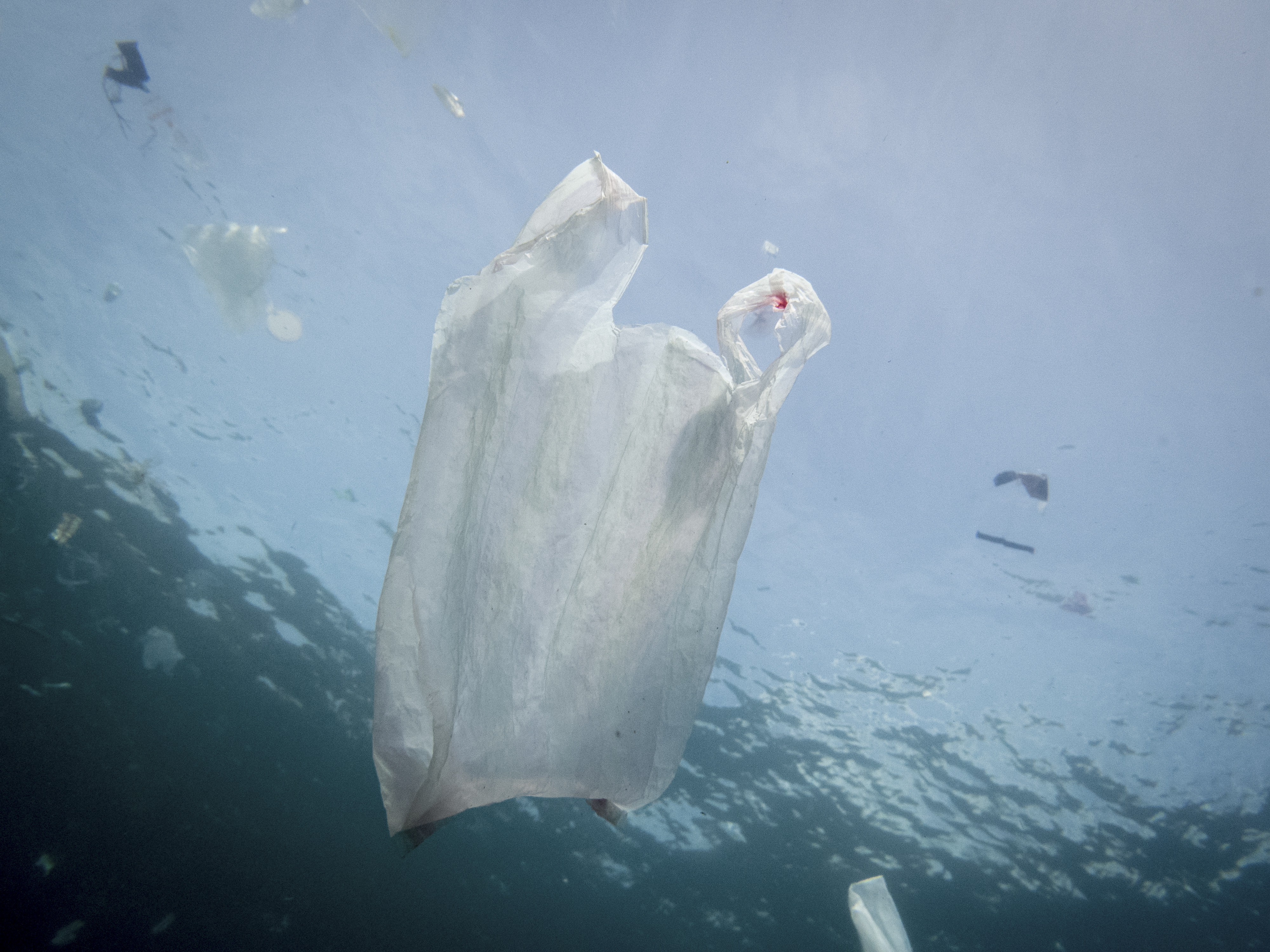 Changing Oceans - Cinemambiente Media