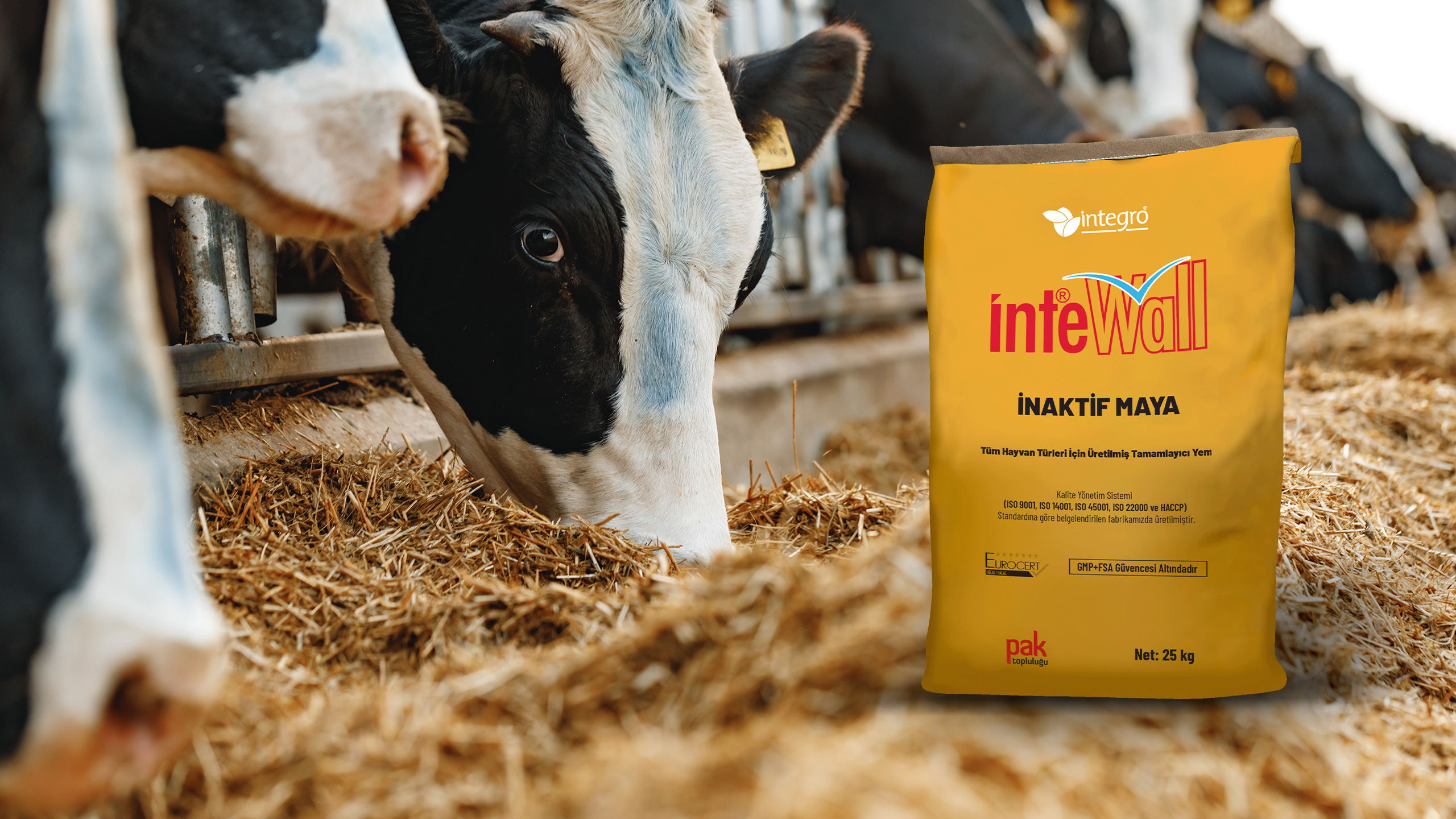 inteWall: Sindirim Sistemini Destekler | İntegro— İntegro