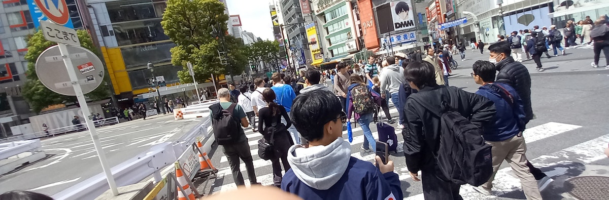 Cherry blossoms and vending machines — Asia New Zealand