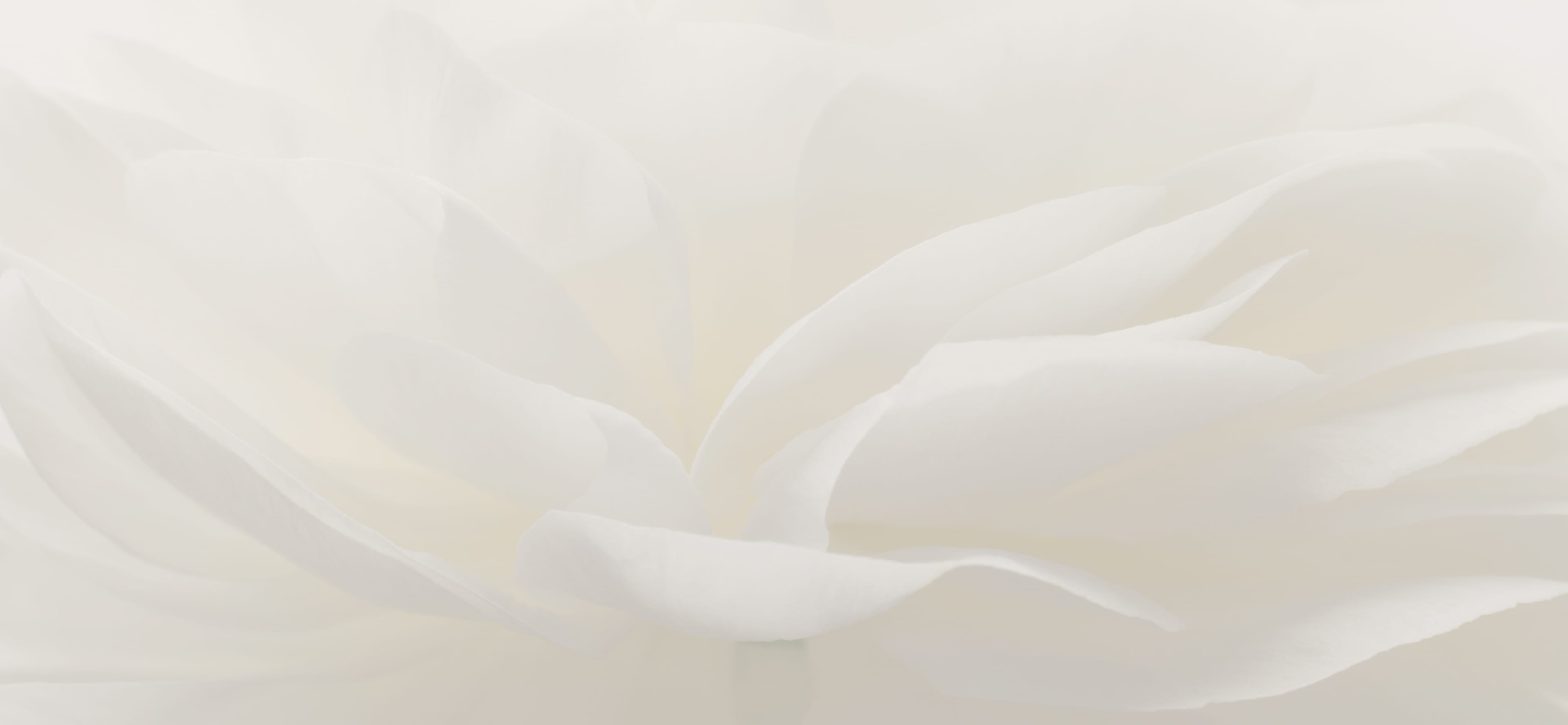 Ptosis Repair Specialist - West Harrison, NY | Ptosis Repair in Westchester