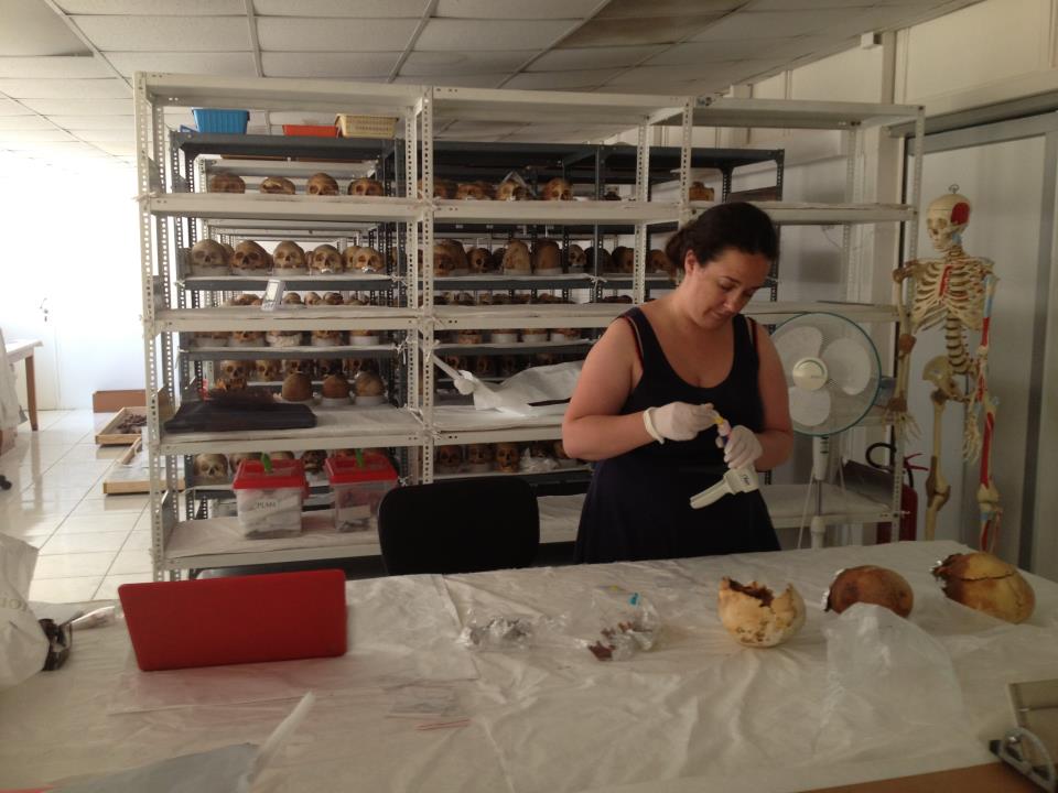 Siân Halcrow — Asia Media Centre