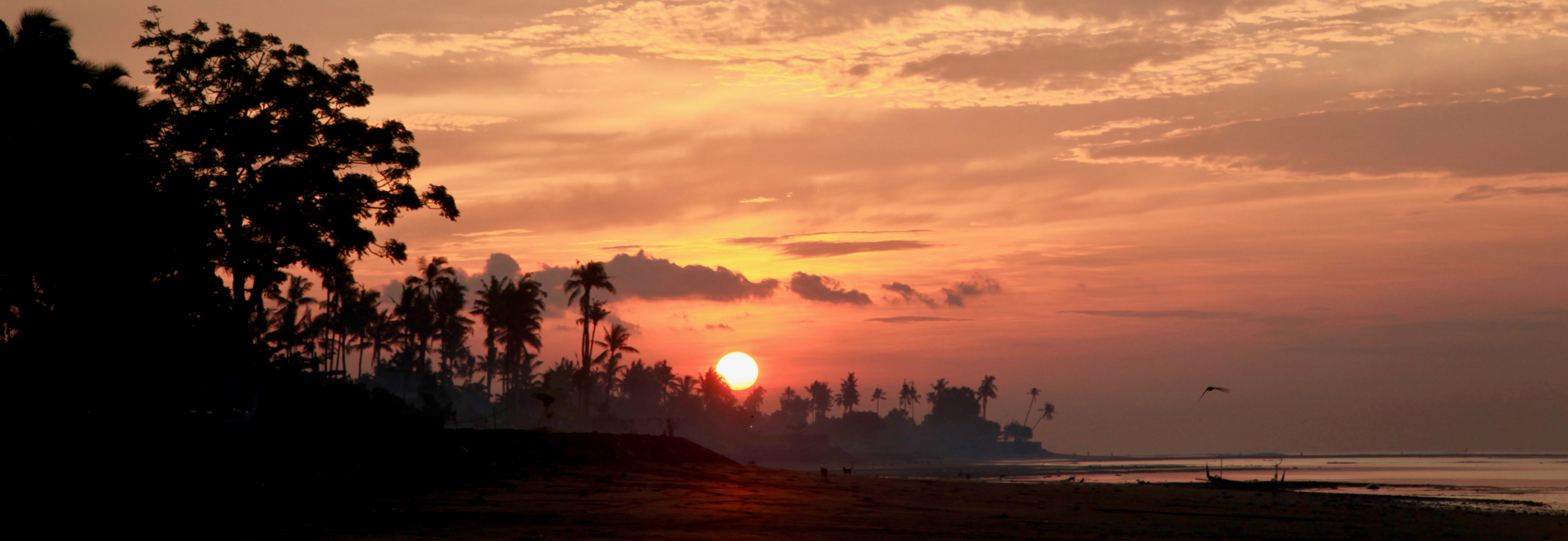 Bali's Bad Tourists — Asia Media Centre